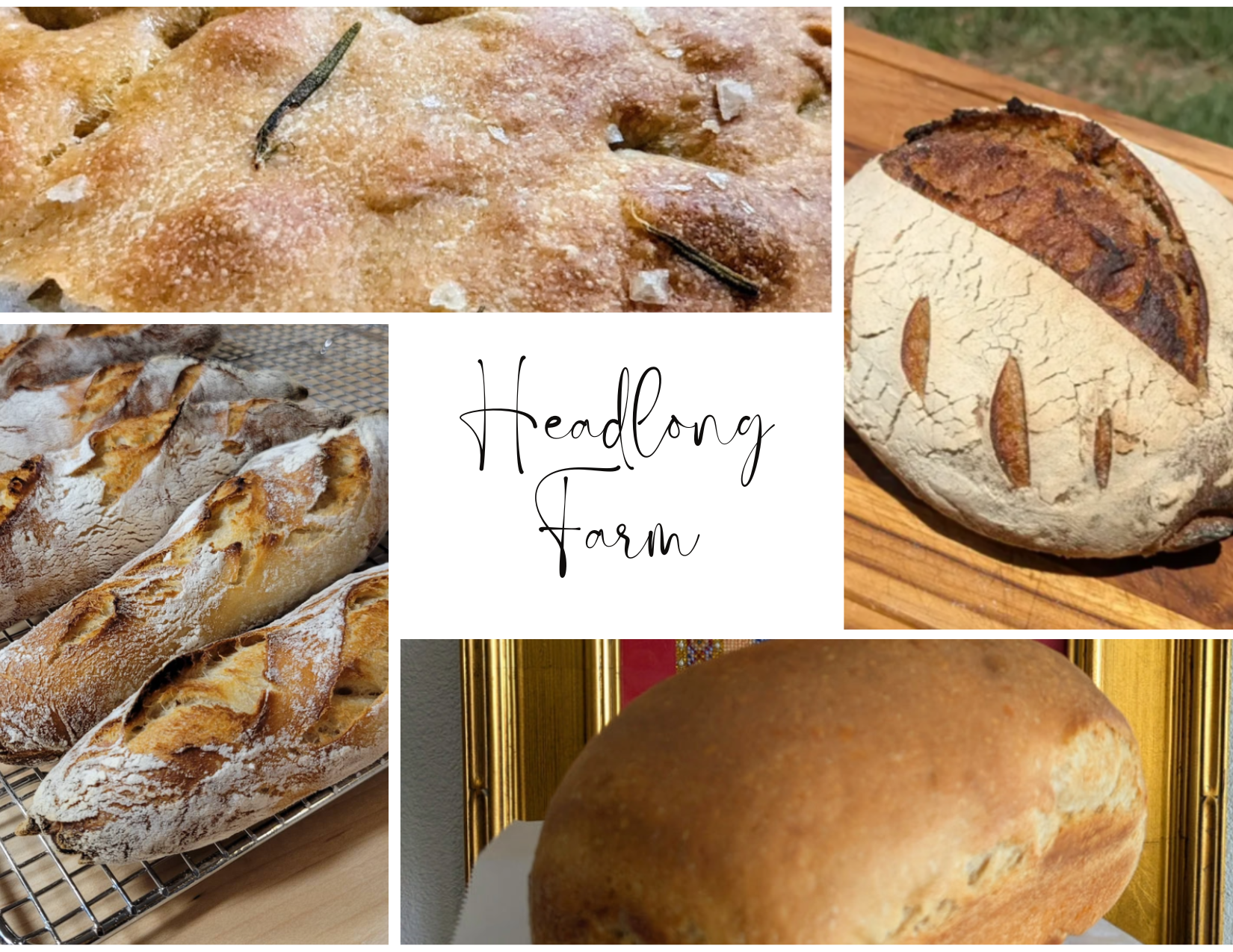 Headlong Farm - Breads – Coyote Creek Farm